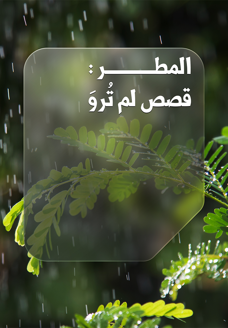 Regarder Série La pluie : des histoires jamais racontées Saison 1 ...